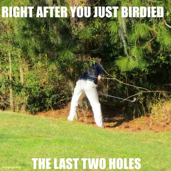 30 Hilarious Golf Memes