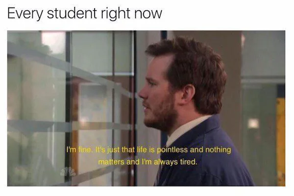 30 Relatable College Memes For Students