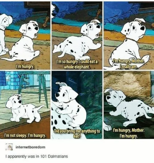 30 Hilarious Food Memes To Share With Friends