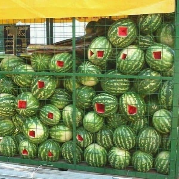 30 Bizarre Pictures That Will Leave You Stunned