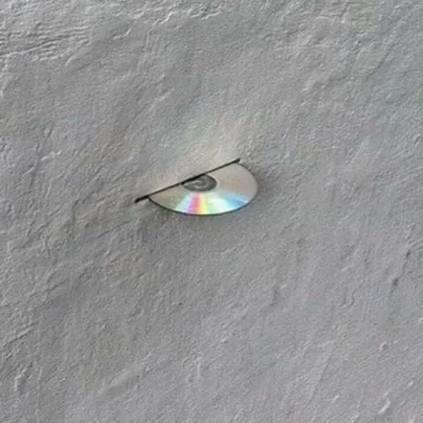 30 Bizarre Pictures That Will Leave You Stunned