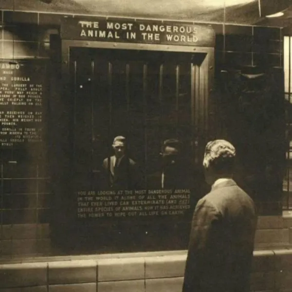 30 Intriguing, Strange, And Disturbing Discoveries