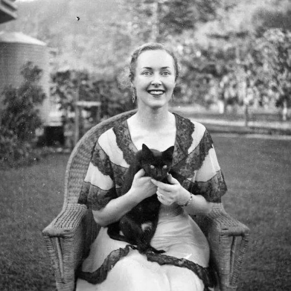 30 Classic Cat Photos Demonstrating Their Superiority