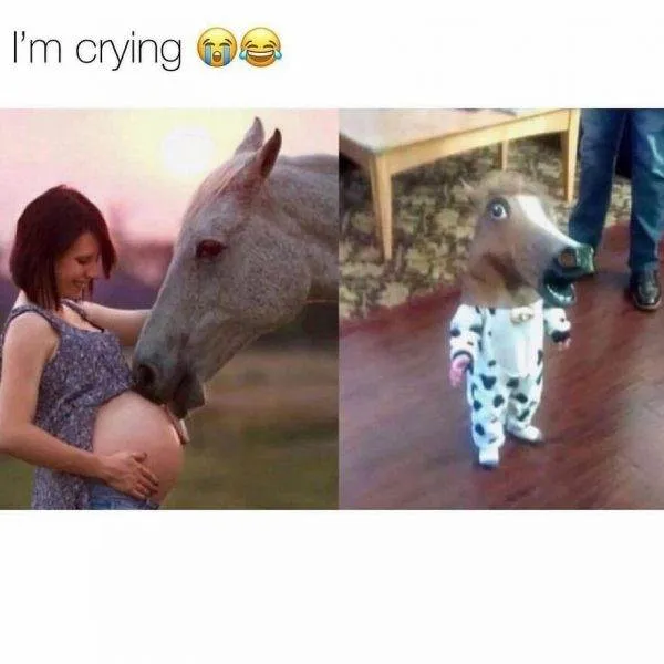 30 Delightful And Humorous Encounters Involving Animals