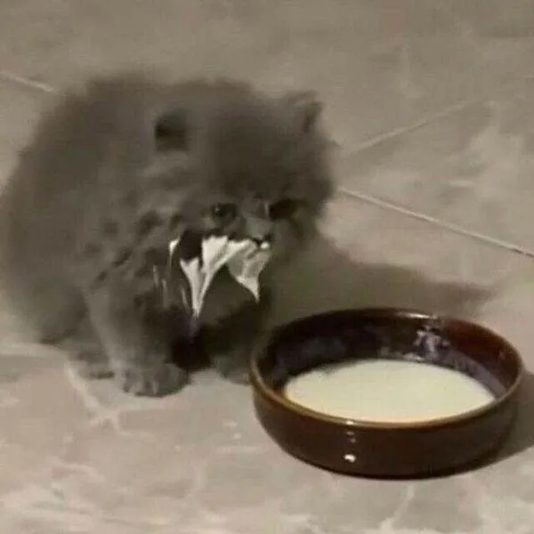 30 Absolutely Adorable Kittens