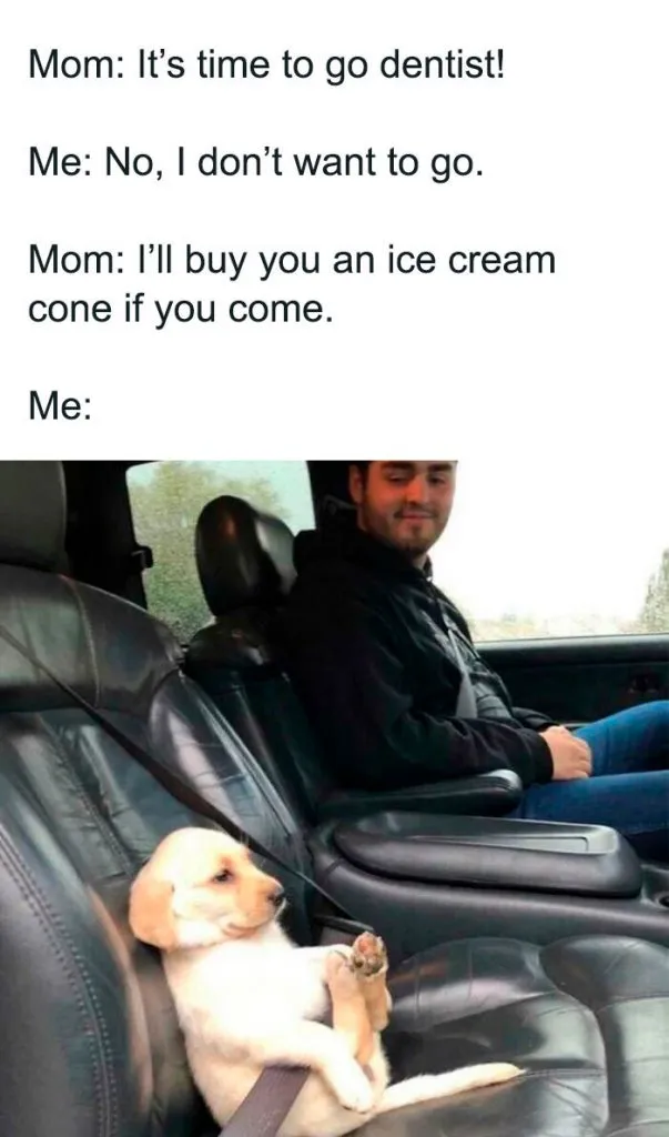 30 Absolutely Funny Memes For The Lactose Intolerant Crew