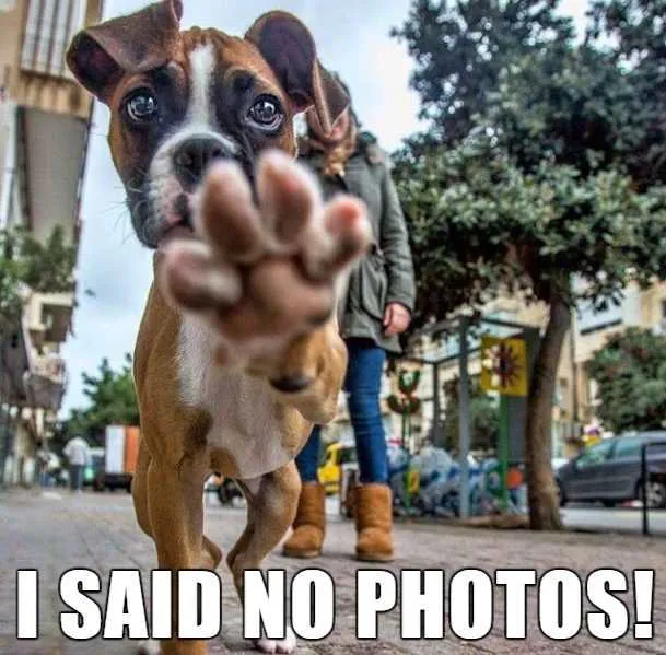 30 More Animal Pictures To Brighten Your Day