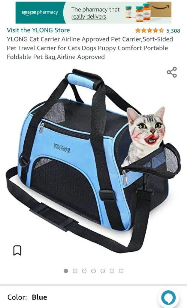 30 Of The Weirdest And Funniest Things Ever Seen On Amazon