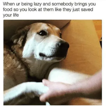 37 Hilarious Pics That Will Make You Lol