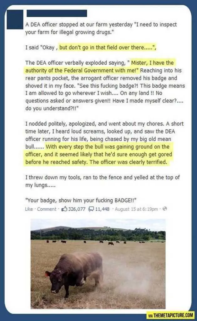 12 Funny Jokes And Short Stories Of The Week