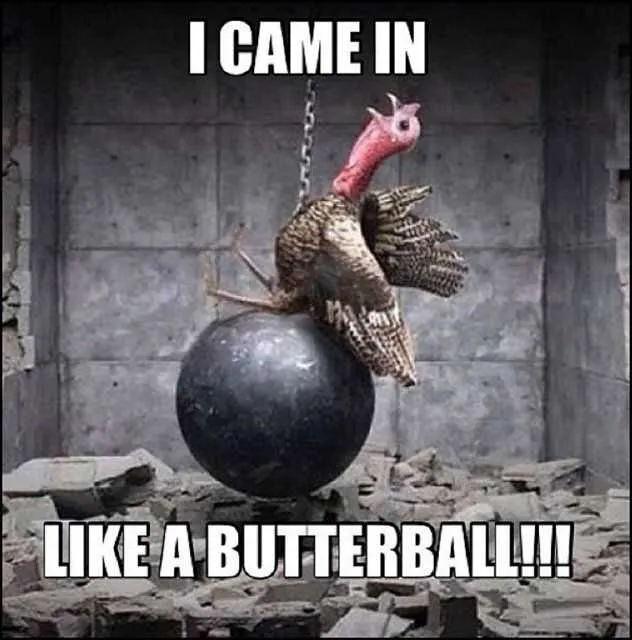 20 Funny Thanksgiving Memes To Enjoy While Stuffing Your Face Full Of Pie