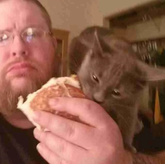 25 Funny Animals Who Are All About That Food