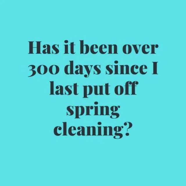 13 Funny Quotes For Spring Cleaning | The Funny Beaver