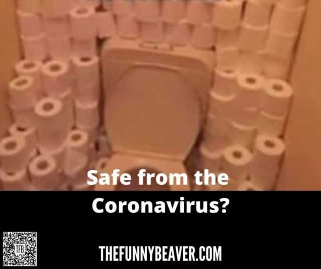 Hilarious Corona Virus Toilet Paper Hoarding Memes | The Funny Beaver