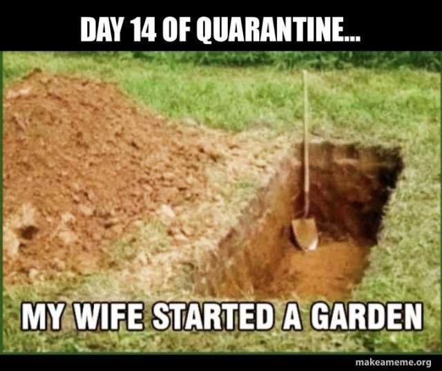 30 Home Gardening Memes For A Good Thyme | The Funny Beaver