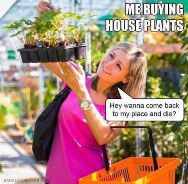 30 Home Gardening Memes For A Good Thyme | The Funny Beaver