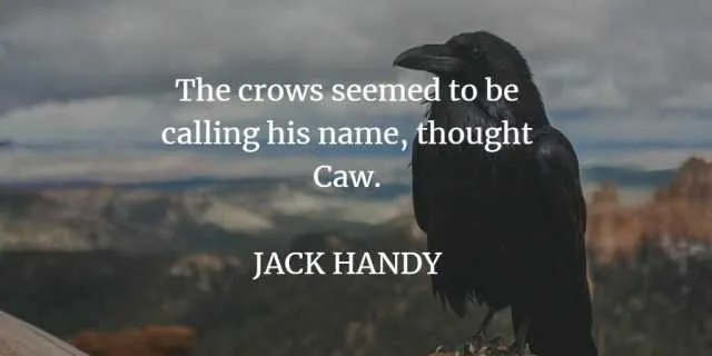 18 Of The Best Jack Handy Quotes | The Funny Beaver