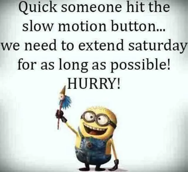 30 Funny Weekend Quotes Cause Cheers To The Freaking Weekend | The ...