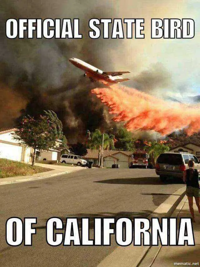 30 Funny Wildfire Memes That Will Burn A Hole In Your Retina