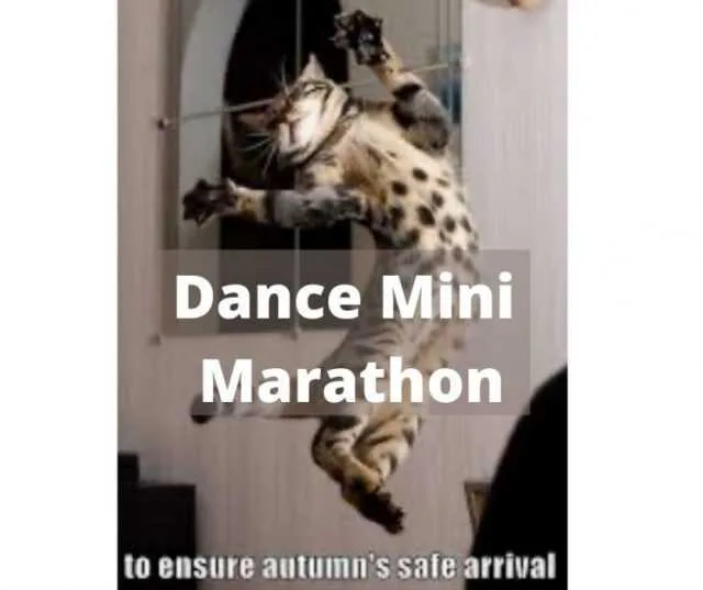 23 Autumn Equinox Memes You'll Fall In Love With