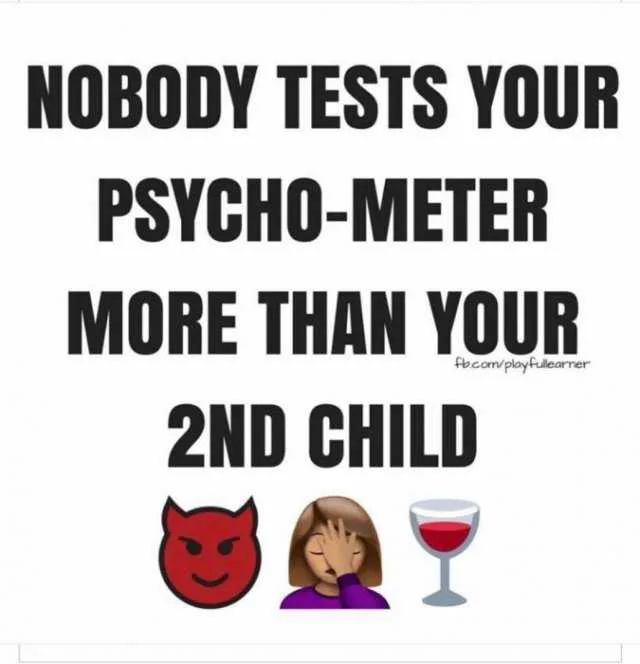14 Funny Parenting Memes For The 2nd Or 3rd Kid