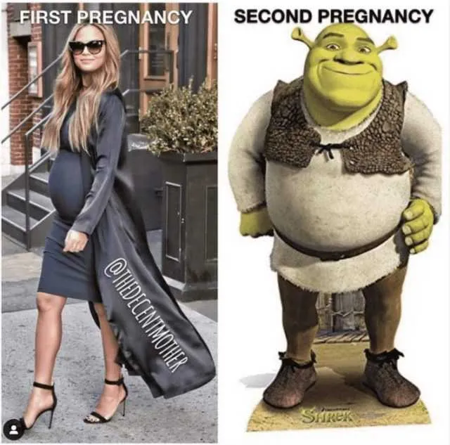 14 Funny Parenting Memes For The 2nd Or 3rd Kid