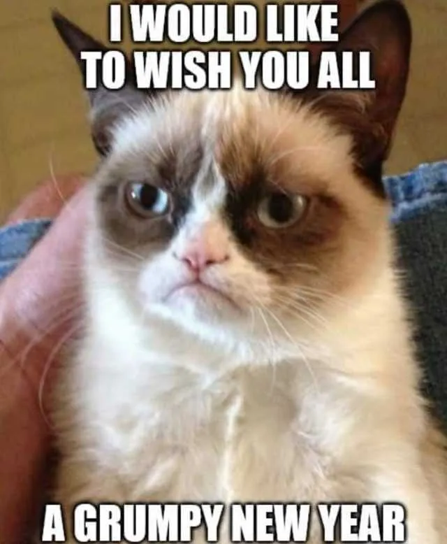 25 Happy New Year Memes And Pics That'll Help You Reconstruct The ...