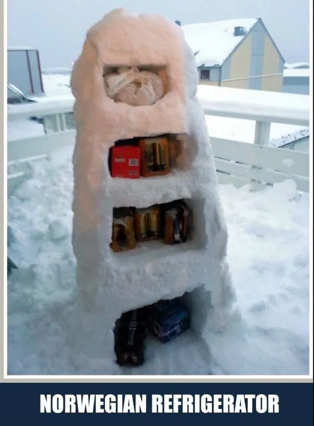 20 Winter Fun Memes To Laugh At