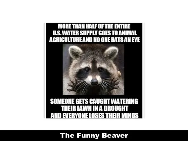 23 Funny Drought Memes That'll Water Your Crops