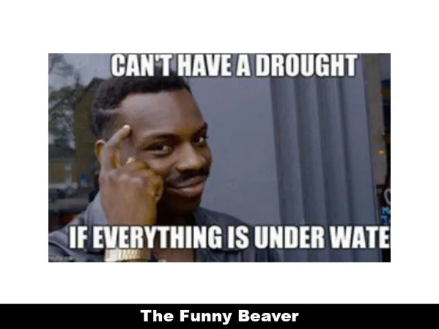 23 Funny Drought Memes That'll Water Your Crops