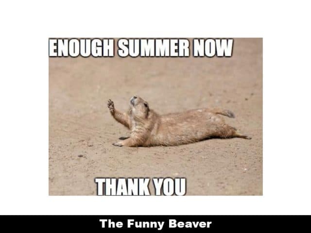 23 Funny Drought Memes That'll Water Your Crops
