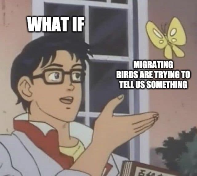 10 Funny Headline Memes For Hump Day