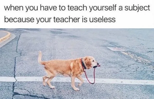 30 Relatable College Memes For Students