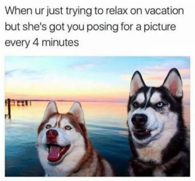 30 Great Summer Memes To Get Your Summer Going