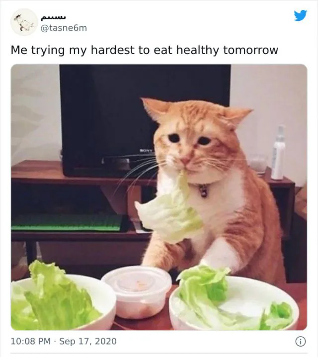 30 Sizzling Food Memes To Share With A Foodie