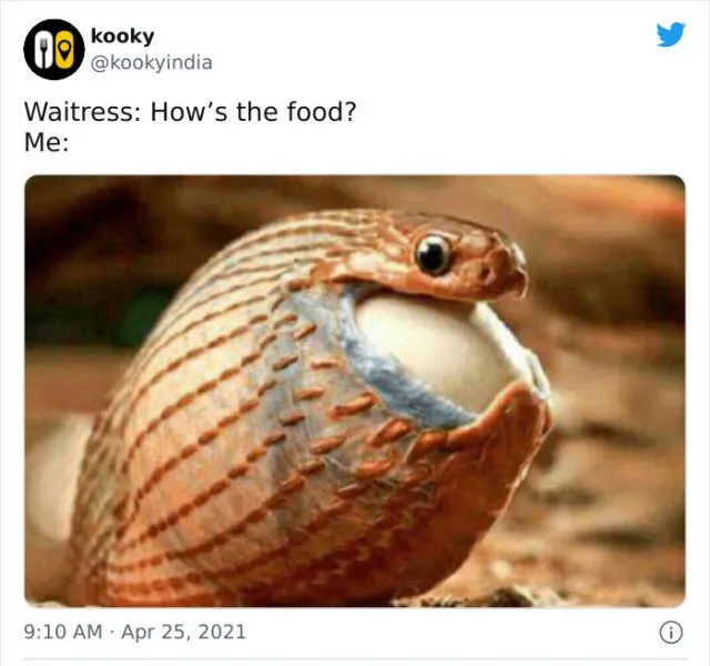 30 Sizzling Food Memes To Share With A Foodie