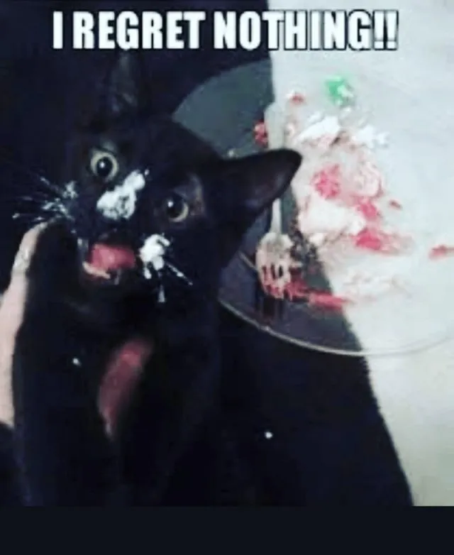 30 Excellent Cat Memes For All The Cat Lovers