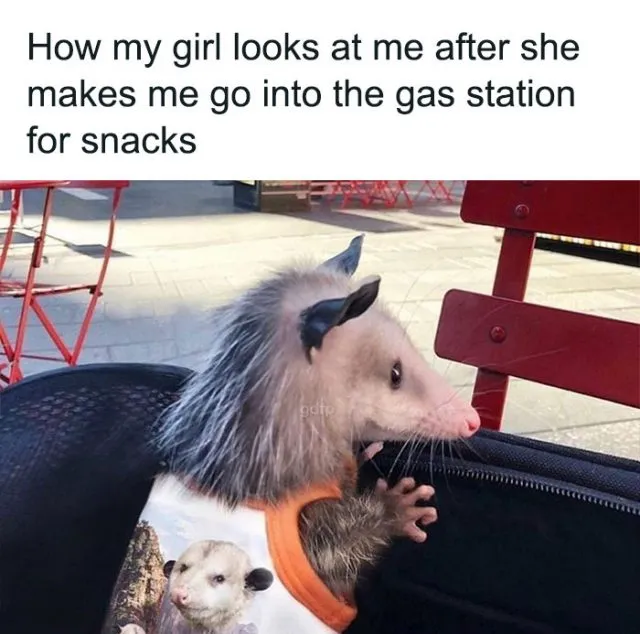 30 Sizzling Food Memes To Share With A Foodie