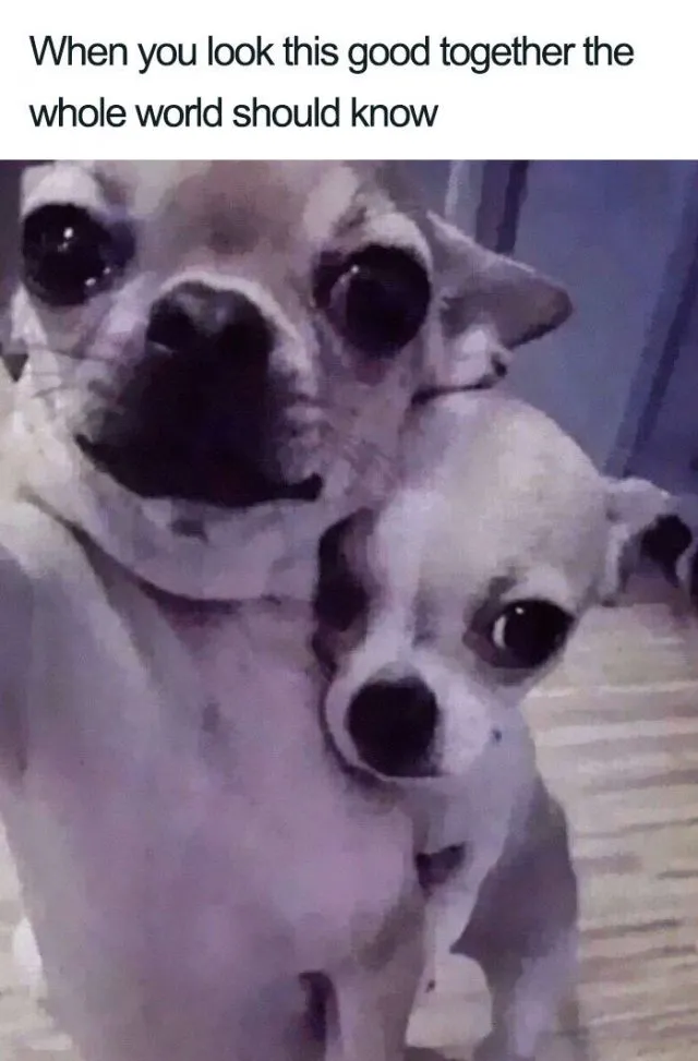 30 Accurate Relationship Memes For All The Lovely Couples