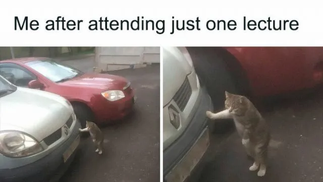 30 Painstakingly Relatable And Funny College Memes