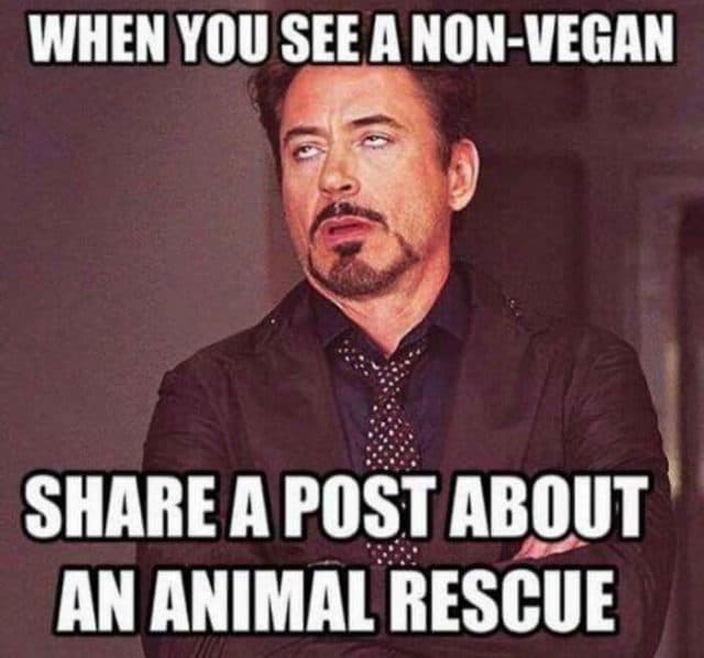 30 Hilarious Times Vegans Got Bullied On The Internet
