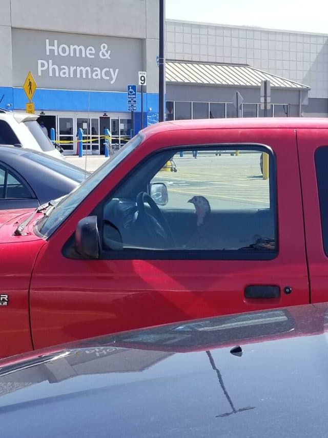 30 Insane Walmart Images Caught On Camera