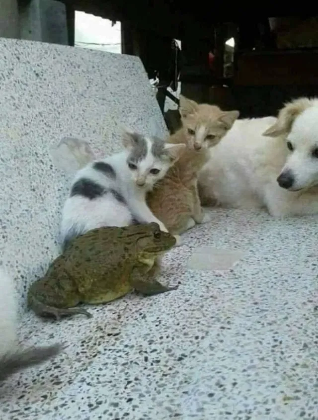 30 Seriously Weird And Unaesthetic Images You'll Ever See