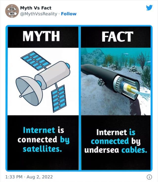 30 Incredibly Interesting Fact Vs Myths