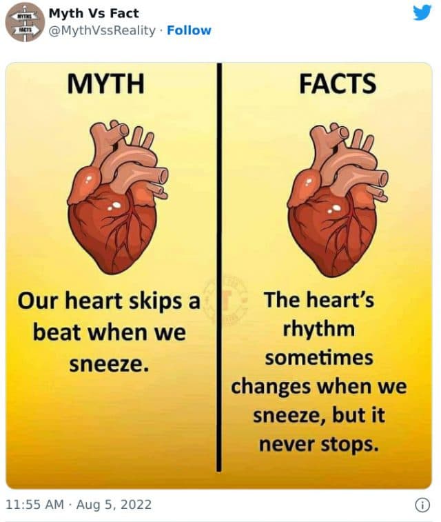 30 Incredibly Interesting Fact Vs Myths