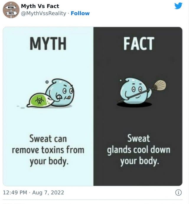 30 Incredibly Interesting Fact Vs Myths