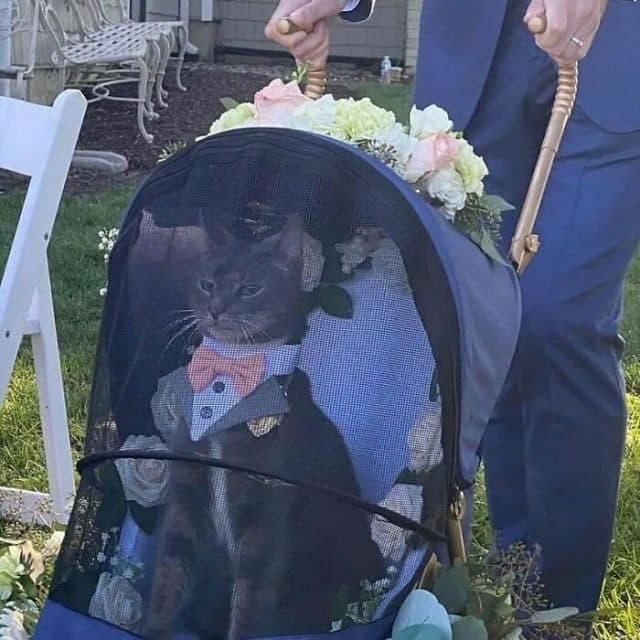 30 Of The Funniest And Weirdest Images Found On Instagram