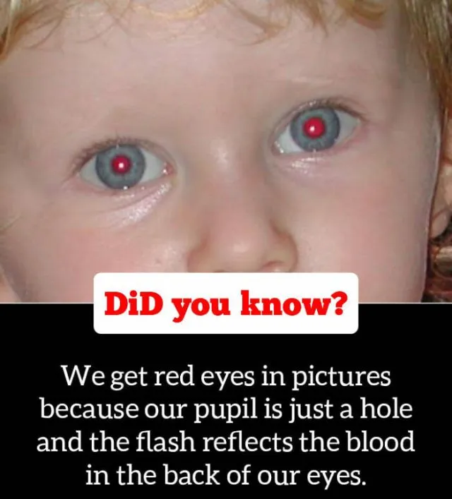 30 Epic Facts You Probably Didn't Know!