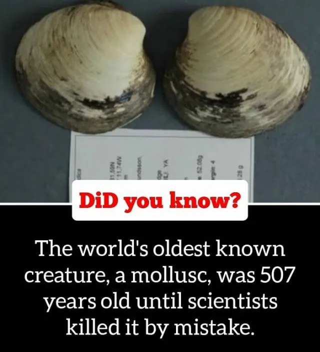 30 Epic Facts You Probably Didn't Know!