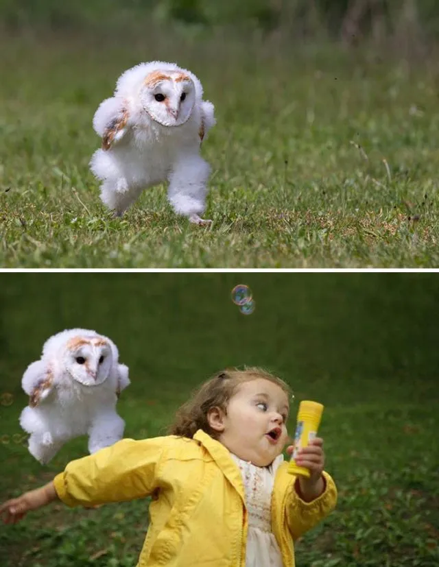 30 Perfectly Planned Photoshopped Images